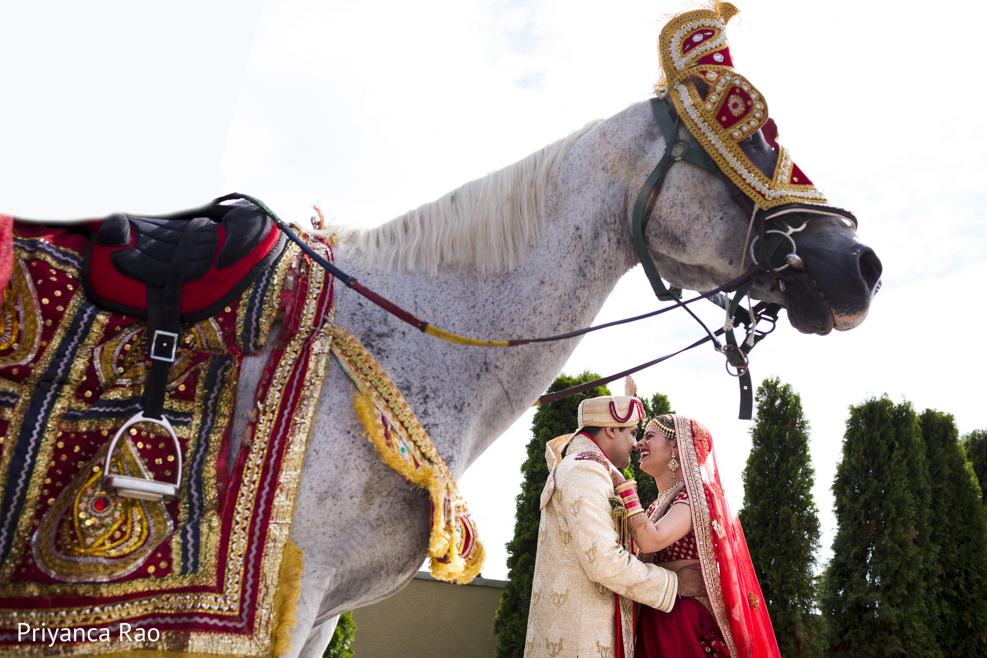 Lovely red and gold ghodi | Photo 129804