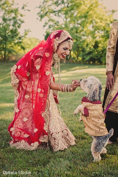 Sweet indian bride feeding dog capture | Photo 155972