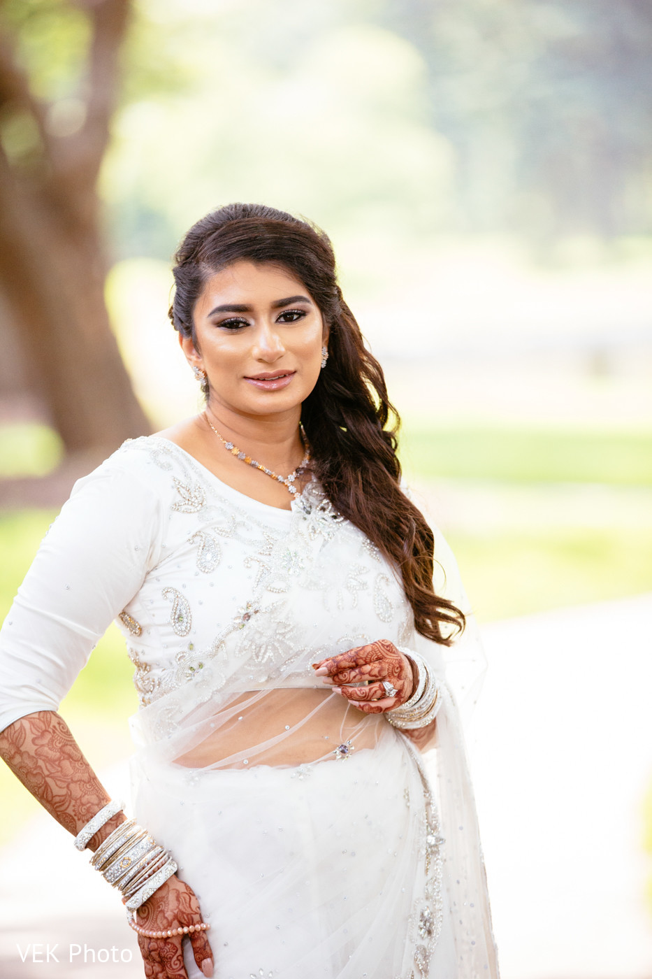 Portrait of the stunning maharani wearing the sari | Photo 195317