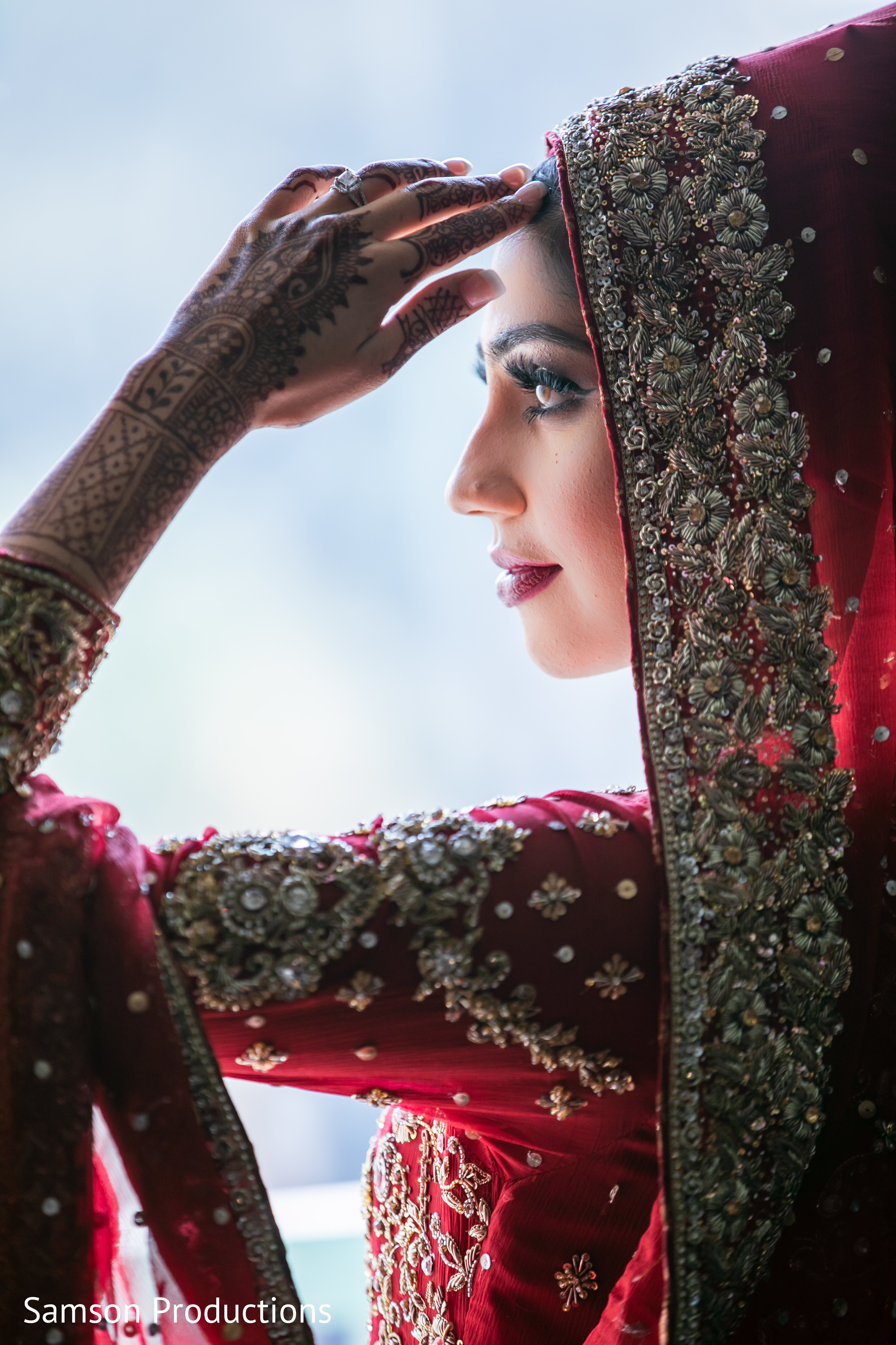 Stunning close up capture of the beautiful maharani | Photo 195378