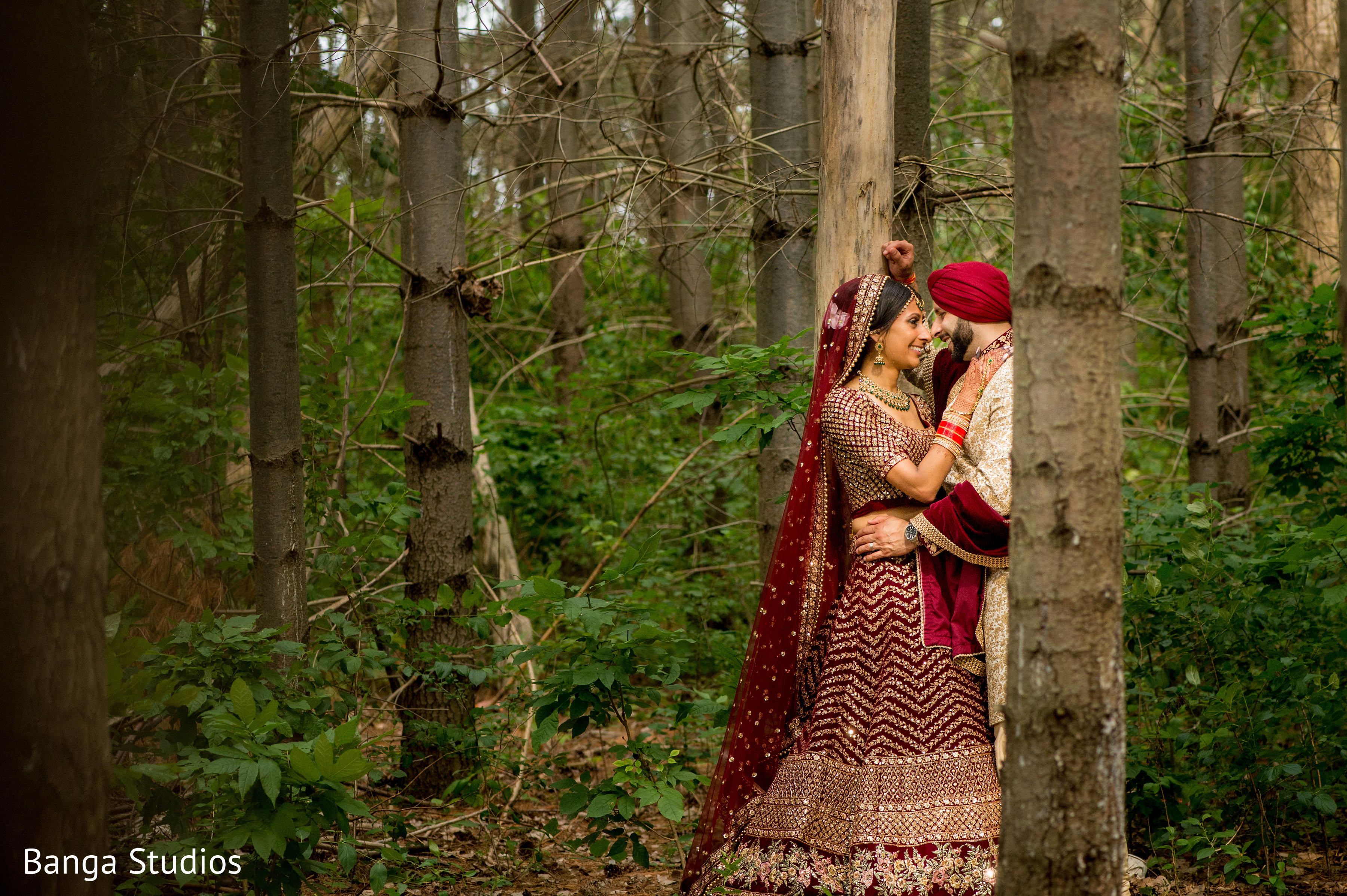 Vaughan, Ontario Indian Wedding by Banga Studios | Post #11709