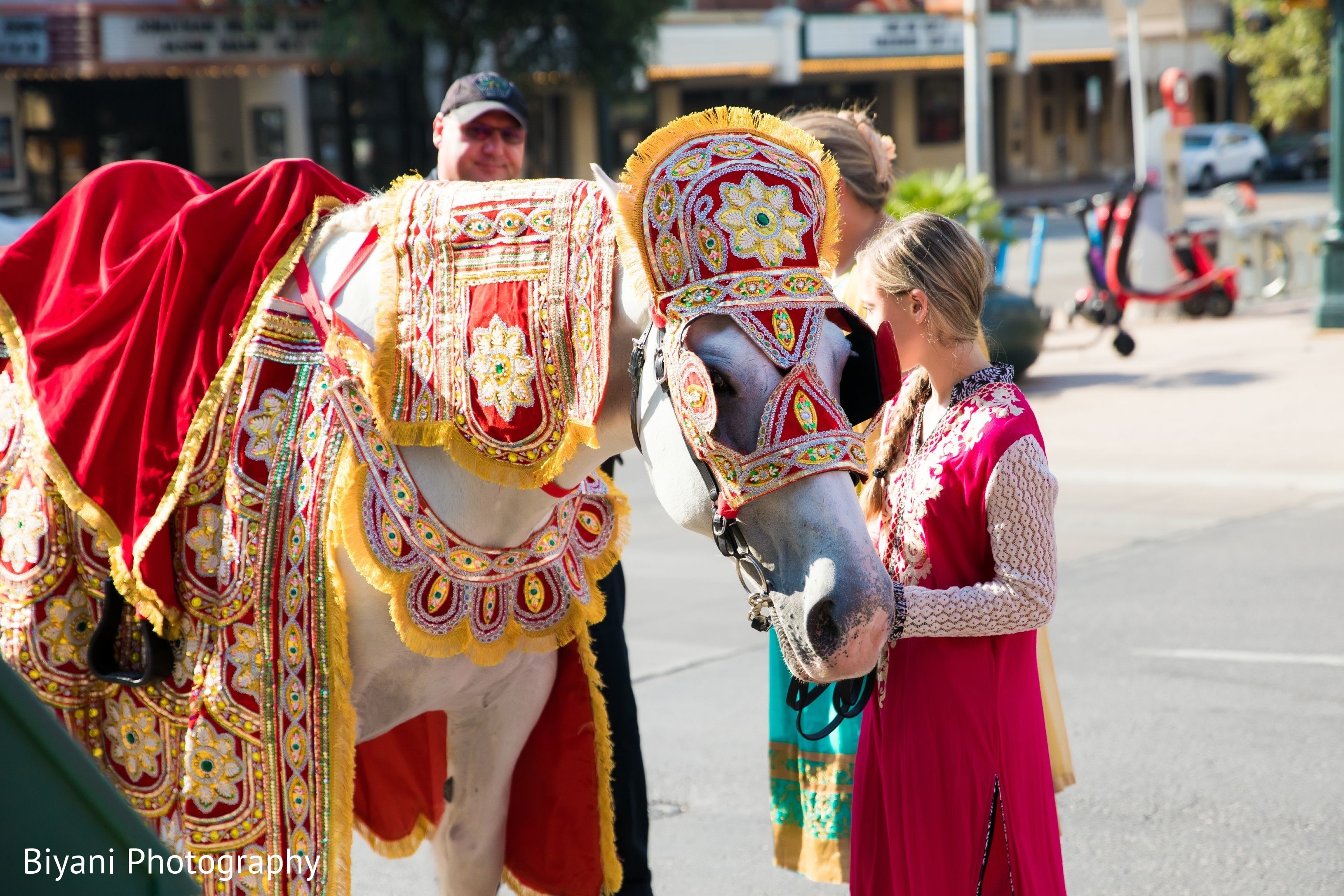 Indian wedding Baraat white horse. | Photo 271886